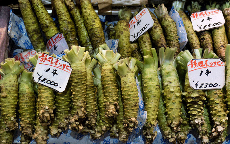 What is wasabi? Everything you should know – ENSO Japanese Cuisine